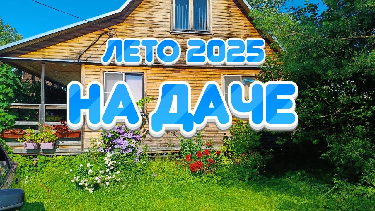 Лето 2025, июль: Лена и Таня на даче