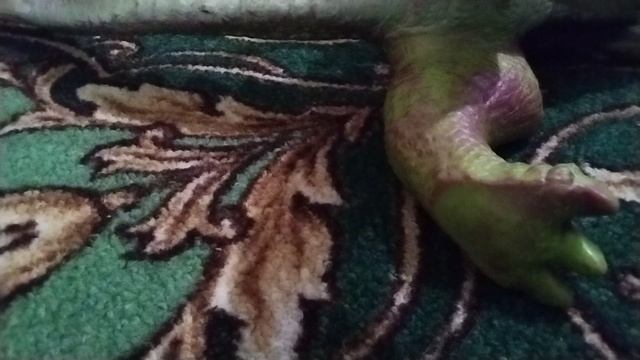 БОСС ГИДРА ПРОТИВ СПИНОЗАВРА #4