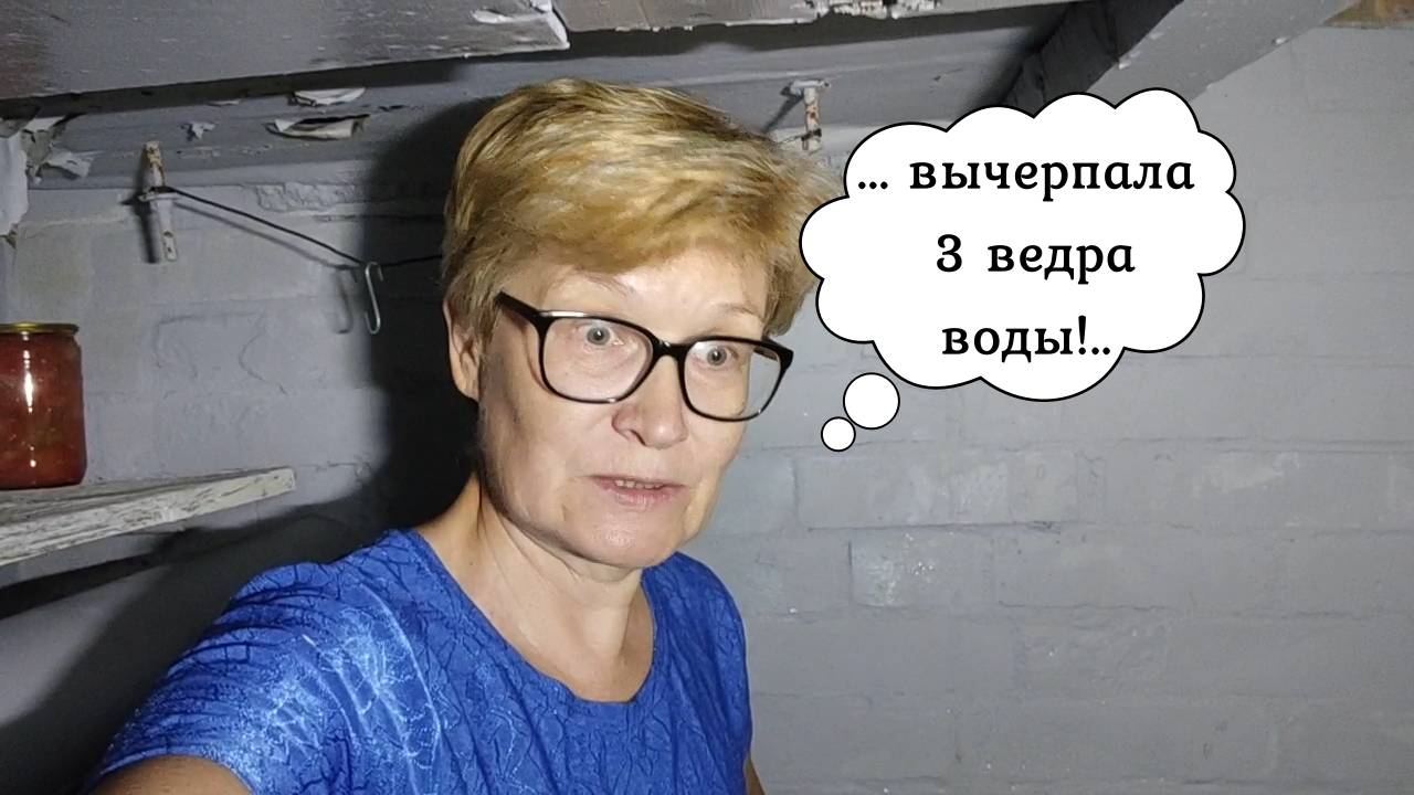 "Водоплавающий" погреб. Жизнь в деревне в мордовской глубинке. Июль 2025