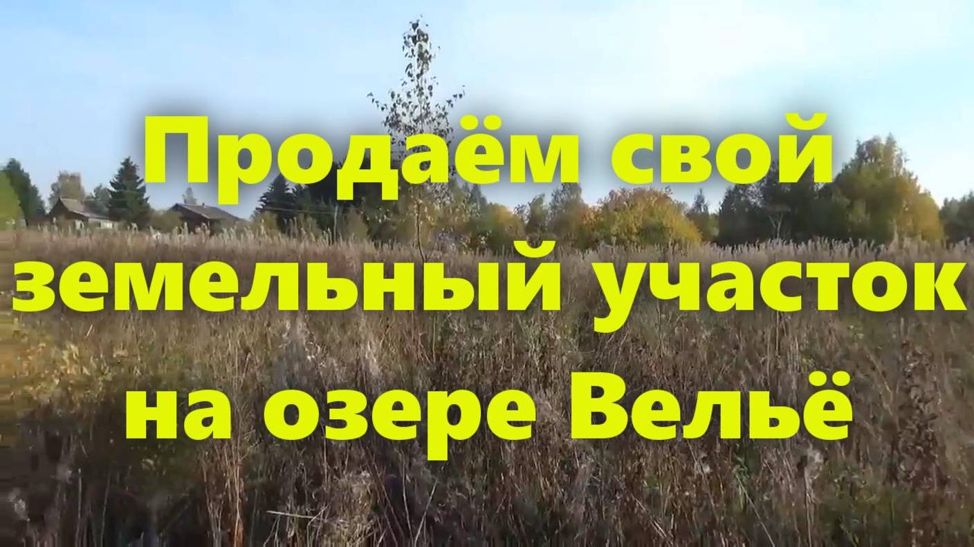 Продаю частный земельный участок под ИЖС или дачу, на озере Вельё. Цена земельного участка умеренная