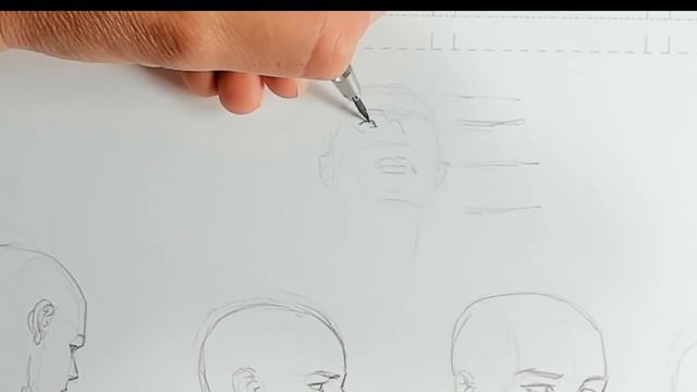 34 DAVID FINCH Drawing Female Heads