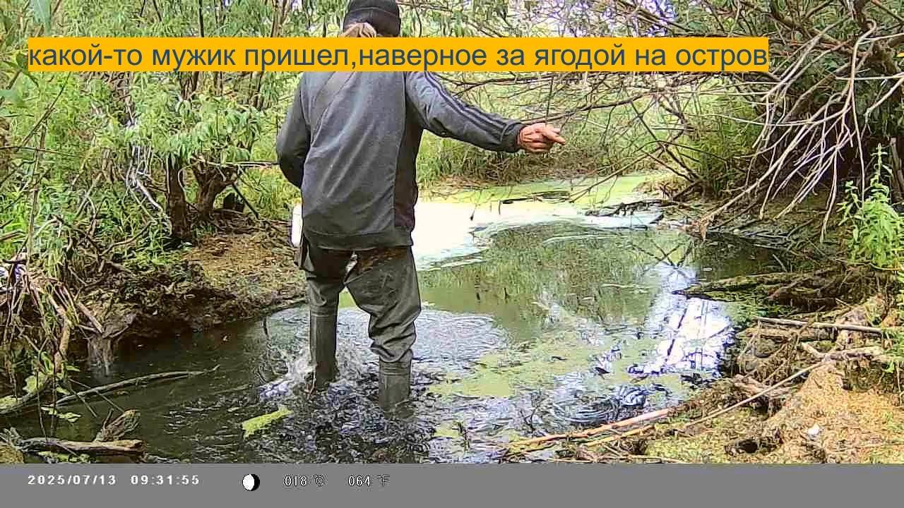 МУЖИК ПОПАЛСЯ НА ФОТОЛОВУШКУ И ДАЖЕ НЕ ЗАМЕТИЛ ЕЁ!!! КАДРЫ ДИКОЙ ПРИРОДЫ!!!