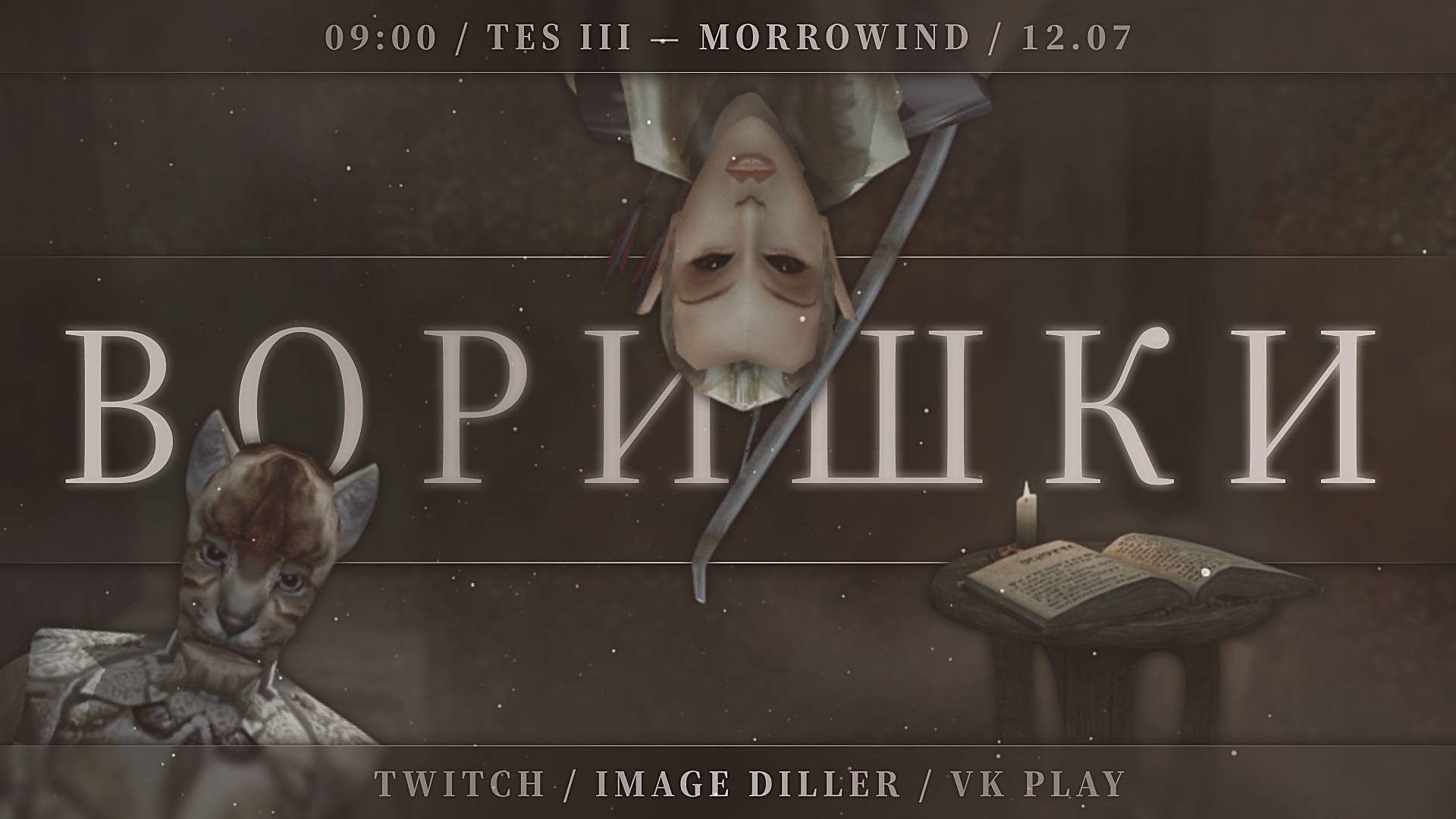 The Elder Scrolls III: Morrowind — Воришки — #3
