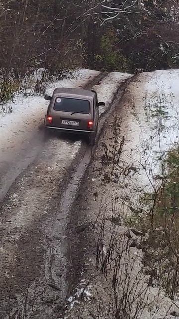 Нива осилит горку?