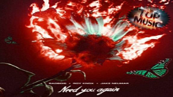 ЗАРУБЕЖНАЯ МУЗЫКА 2025 | СОВРЕМЕННЫЕ ХИТЫ 2025 | Roy Knox, Sadbois - Need You Again Melodic Dubstep