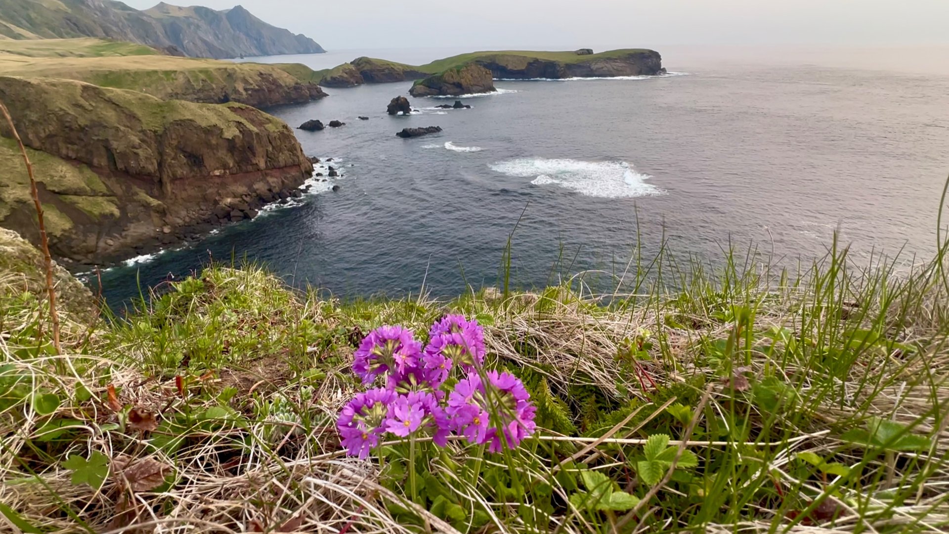 Мыс Край Света и мыс Краб на рассвете День 5. Остров Шикотан Курильские острова 30.05.25