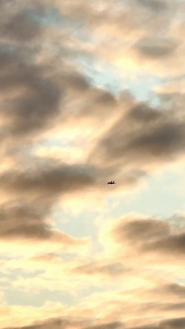 Композиция: смеркалось. Исполняет: Су-30СМ