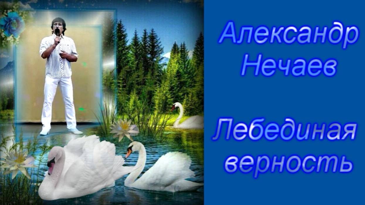 Александр Нечаев Лебединая верность💘👏 🎼