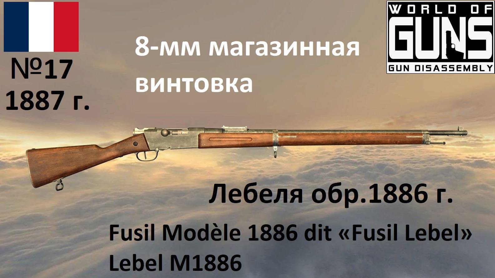Эволюция оружия-17. 8-мм магазинная винтовка Лебеля обр.1886 г. (Франция)
