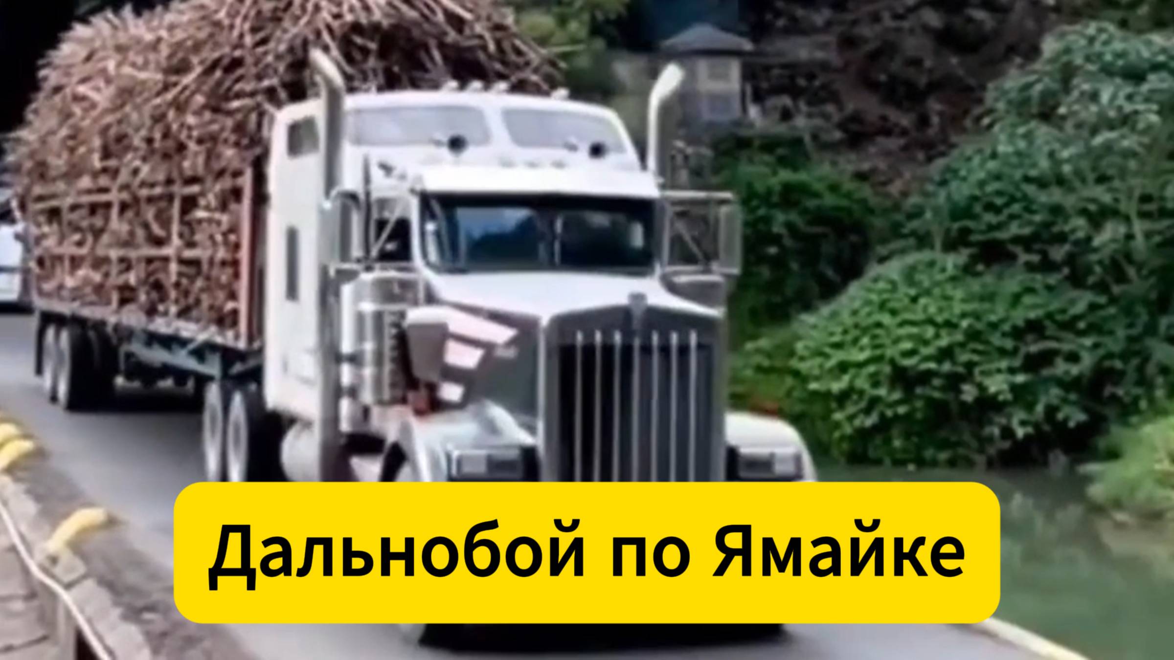 Сезон дальнобойщиков сахарного тростника.  #kenworth #jamaican