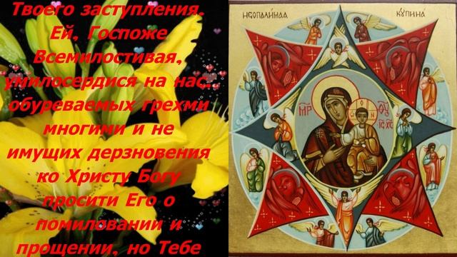 Молитва Божией Матери иконе Её «Неопалимая Купина»