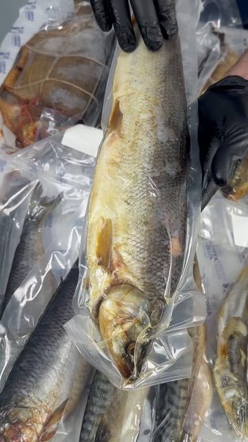 💙Прямо из цеха к вашему столу! Рыбные деликатесы от "Азбуки Севера"!💙