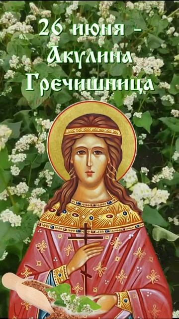 26 июня - Акулина Гречишница