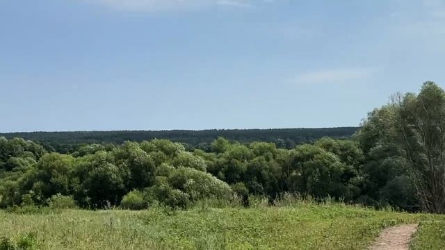 обзор с холма