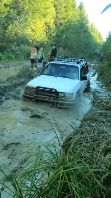 Вот это Toyota, вот это монстр