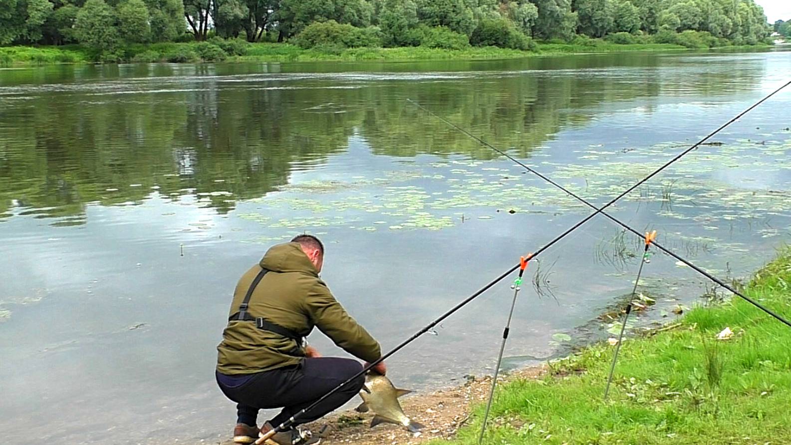 И такой КЛЁВ бывает! Рыбалка на ОКЕ! Рыбалка на донки(фидер)!