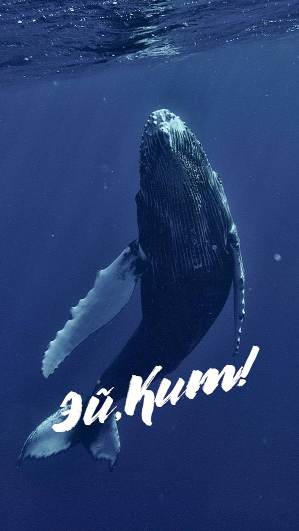 Прыжок на 30 тонн! #сезонконтентаRUTUBE