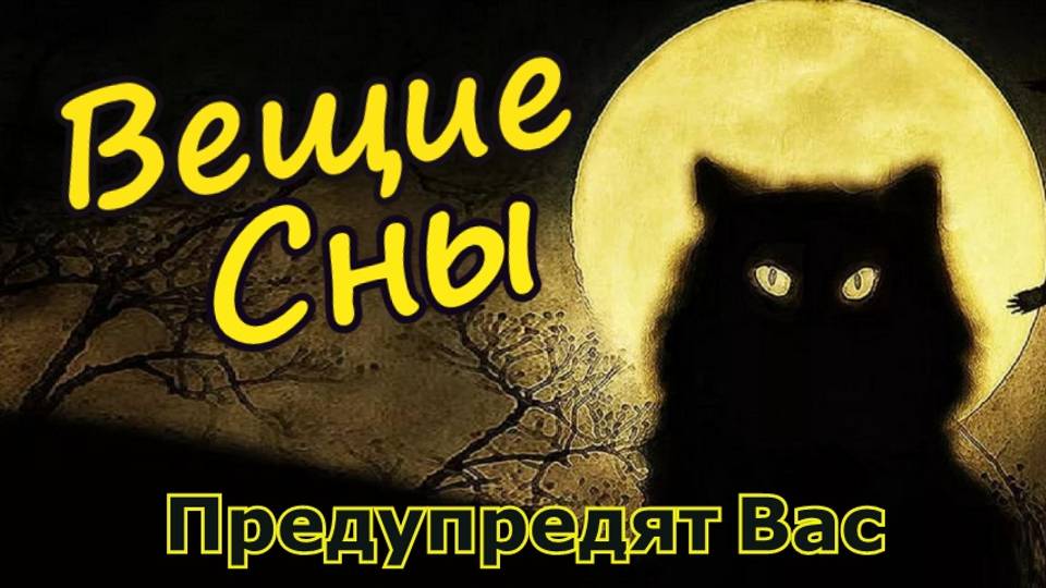 Вещие сны. Как увидеть сон предсказание?