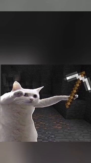 это лучшее видео по Minecraft мемам