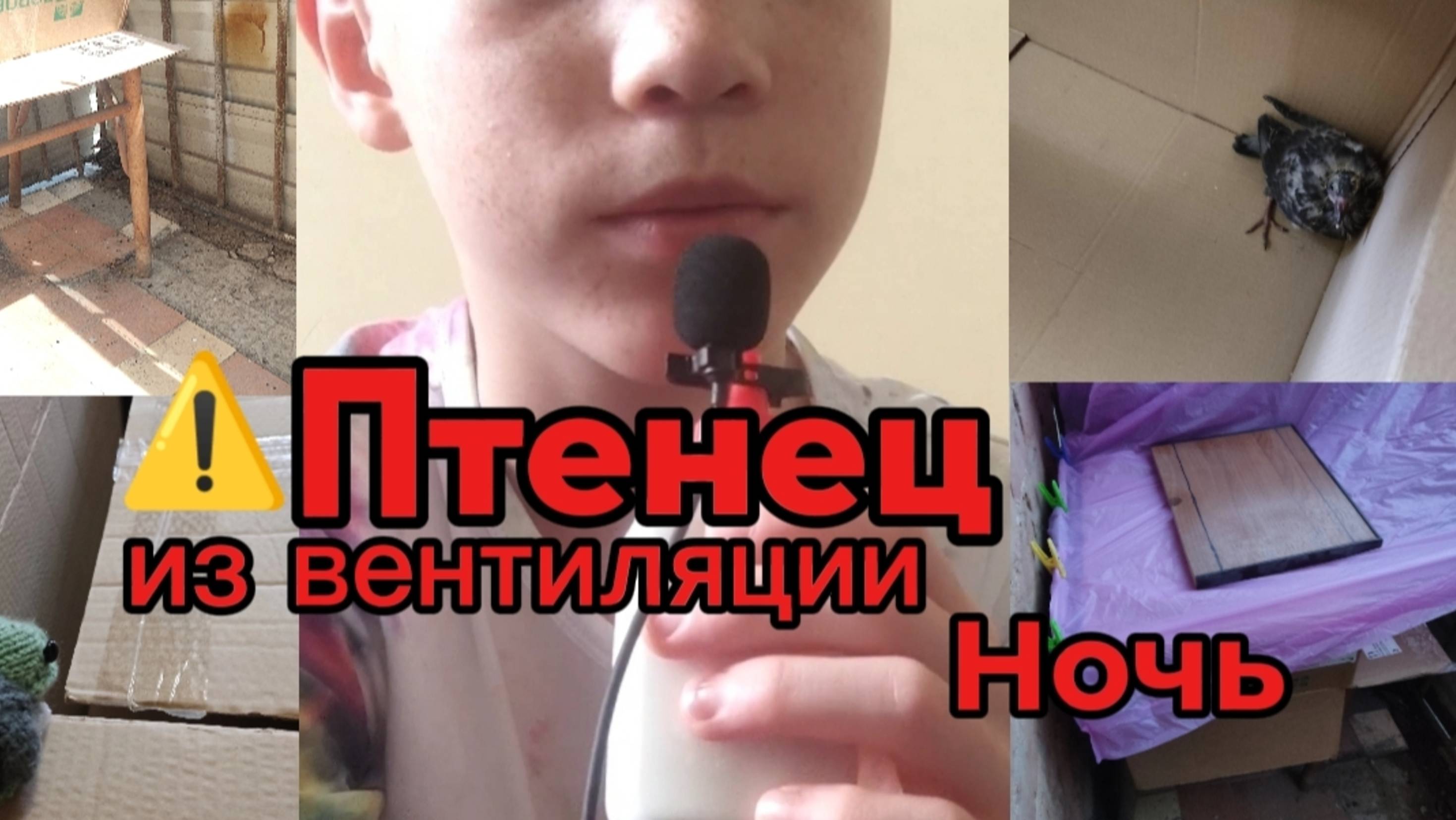 ⚠️Птенец из вентиляции. 3 часть. Ночь