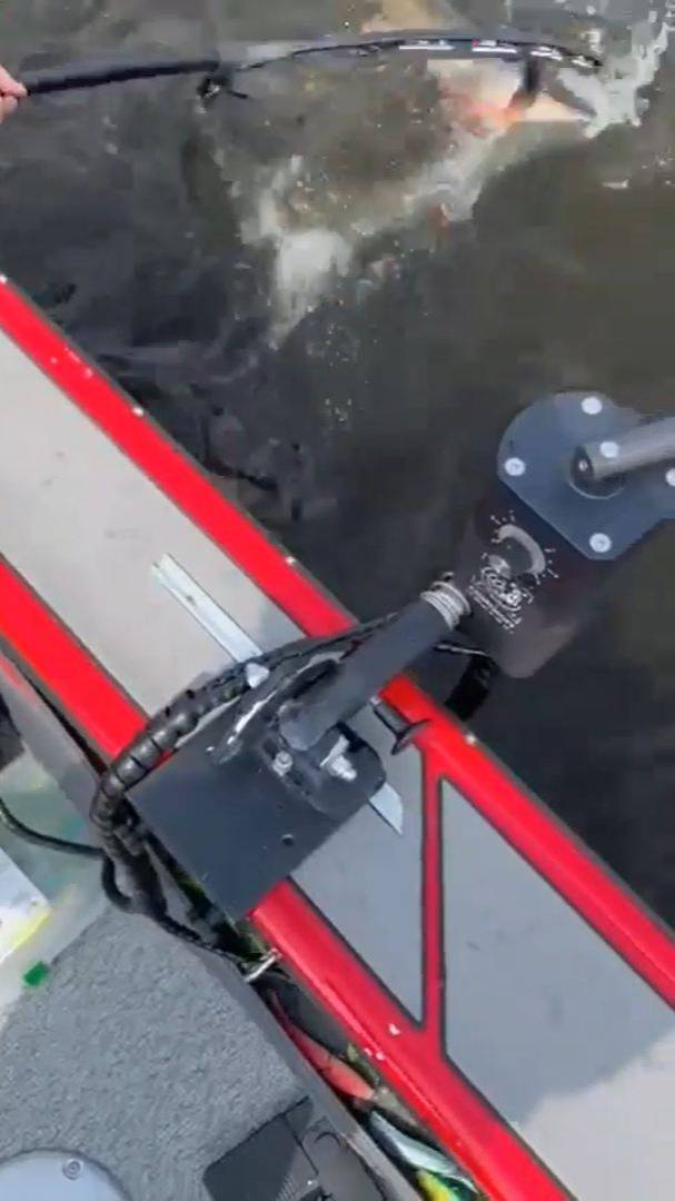 База отдыха «Щукино»: рыбалка как всегда хороша!