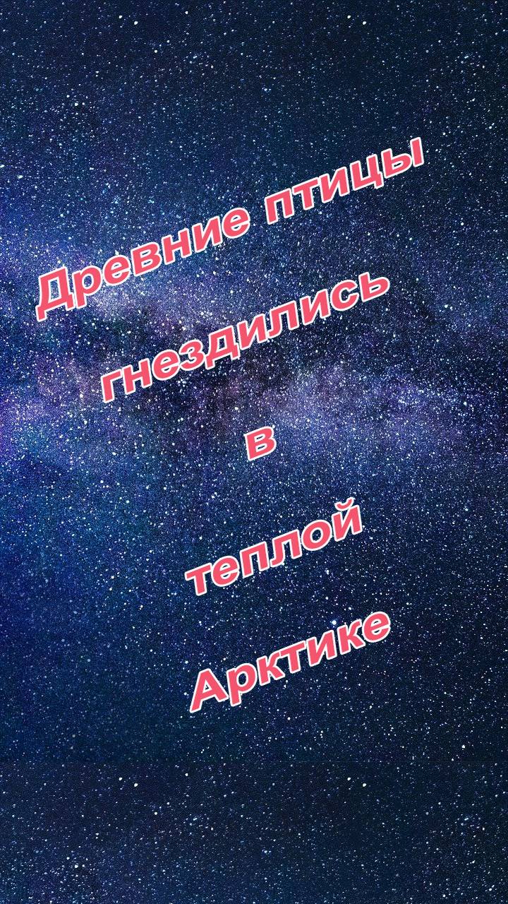 Древние птицы гнездились в теплой Арктике