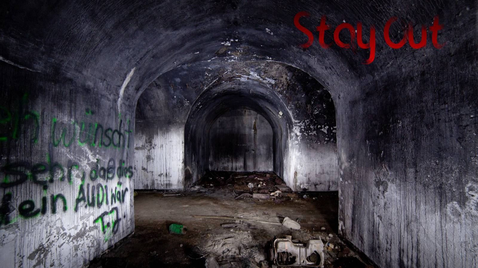 Stay Out Сталкер онлайн Соло данж Адские подвалы Любича! Прохождения задания Зов бойни! Гайд.