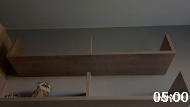 Пять Ночей С Мишуткой исполняется Год!