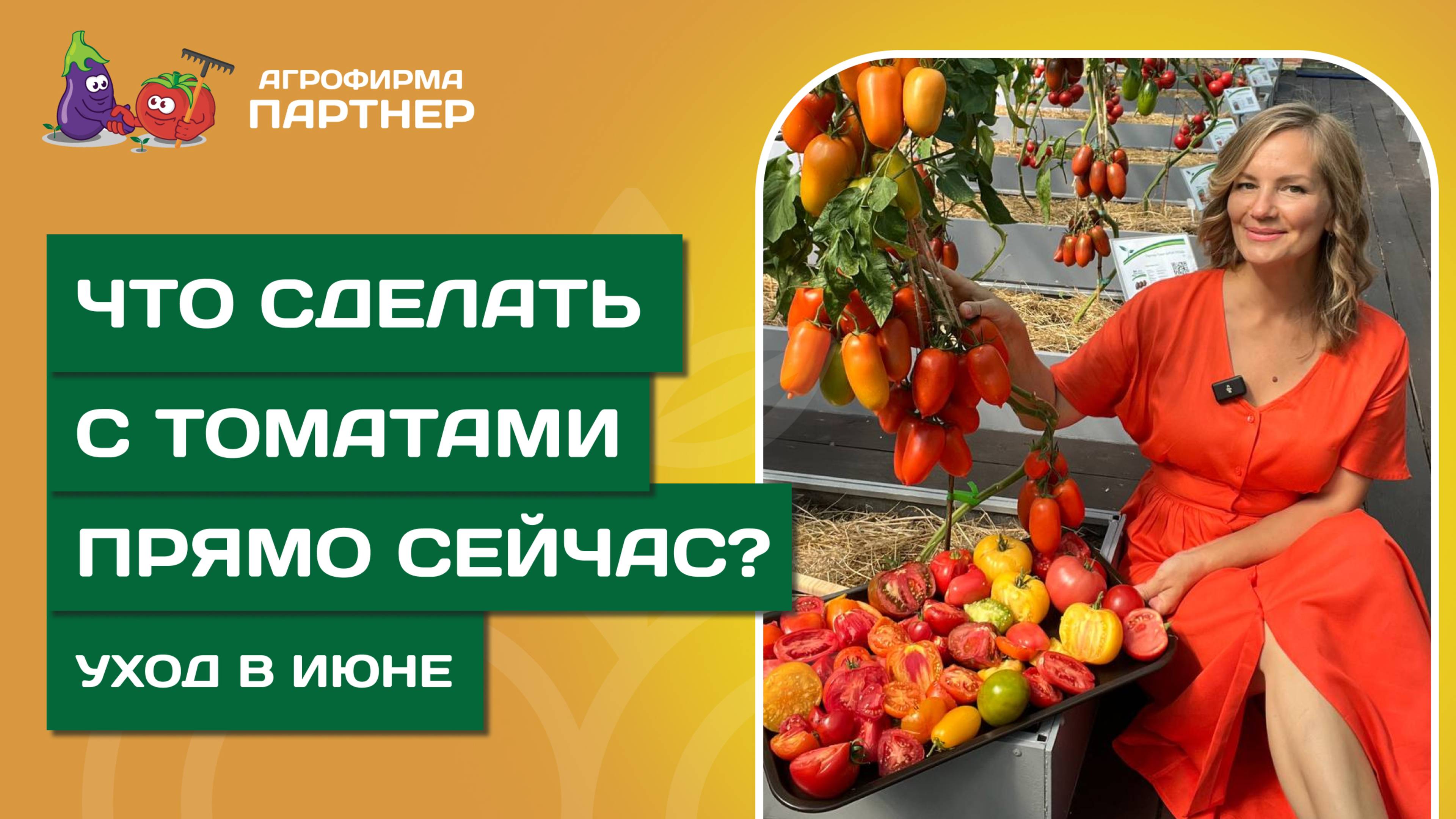 ТОМАТЫ В ИЮНЕ // Уход, подкормки, защита от жары и болезней