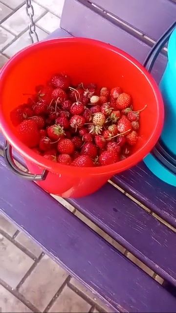 Собрали урожай.