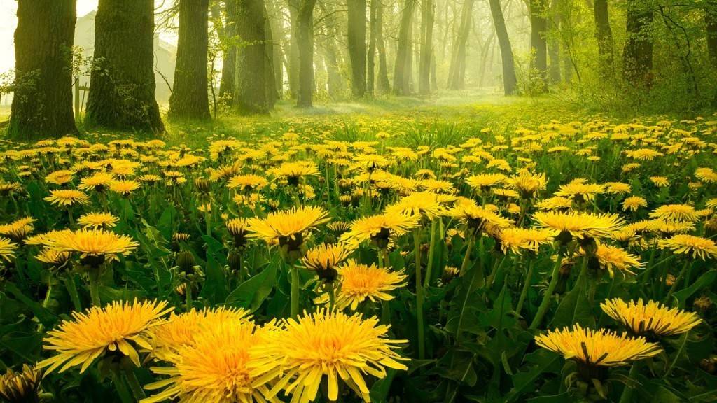 Стихи неизвестного поэта.