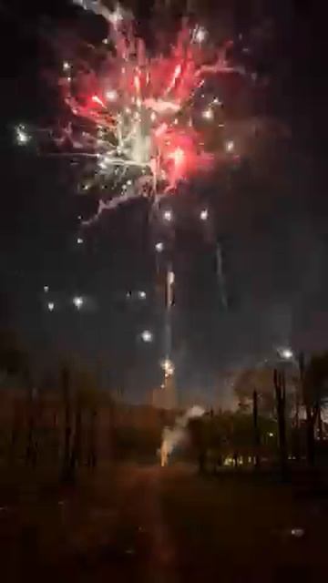 FP-B231 Рок-н-ролл