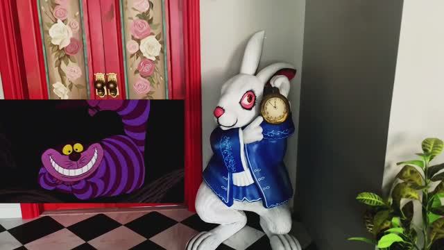 Нина в Стране Чудес