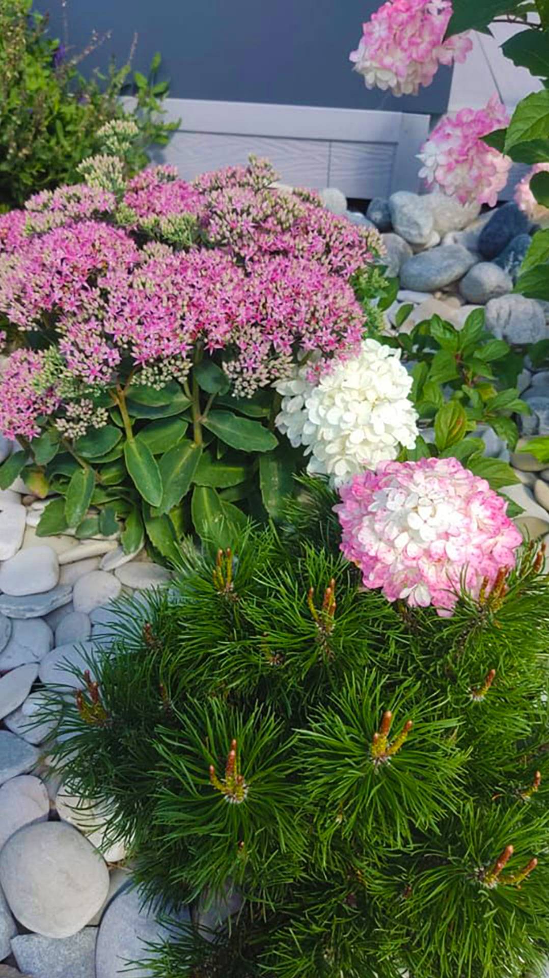 Комплексный подход в создании красивого сада