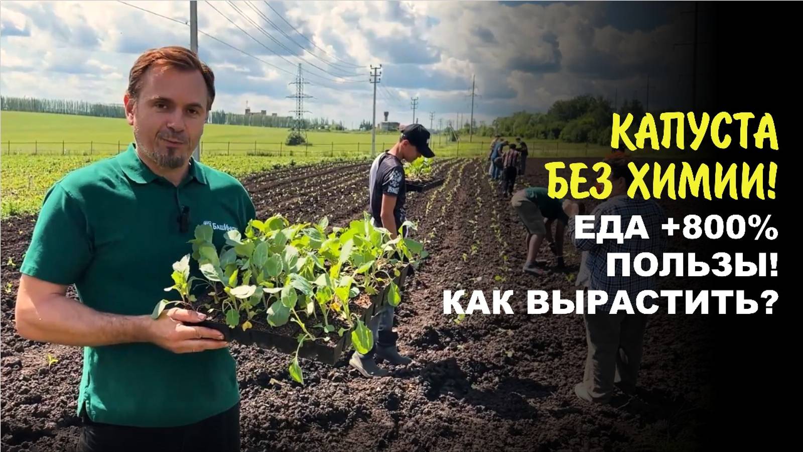 Органическая революция: секреты эко био капусты для здоровья всей семьи. Еда +800% пользы