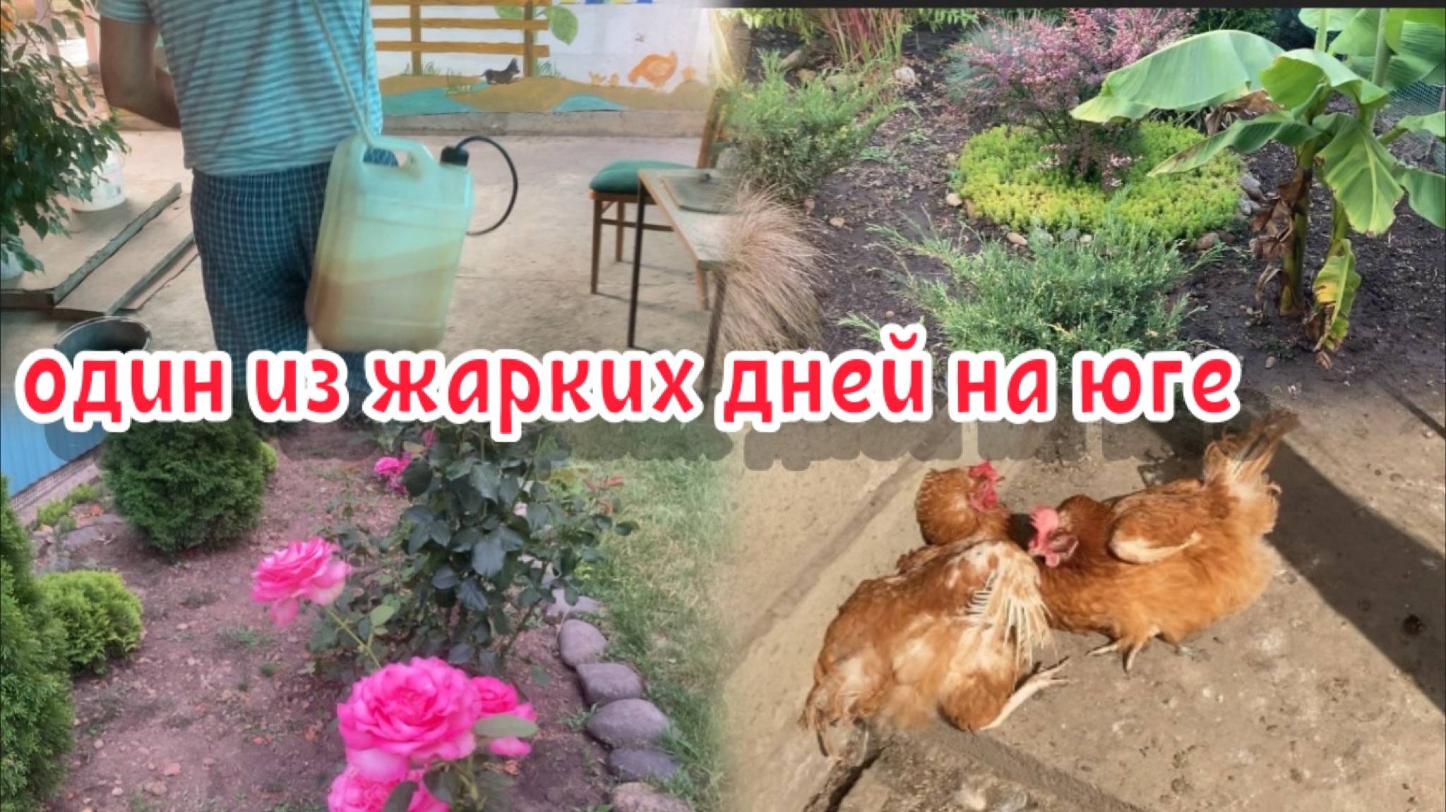 Адыгея/ Жаркий месяц / Вкусная окрошка / Без нее никак, придется покупать/ Странный продукт/