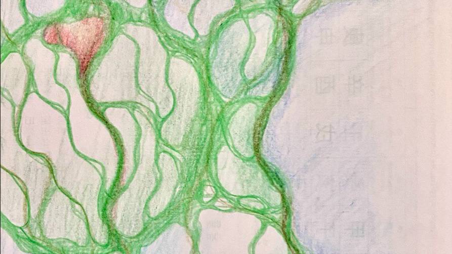 Почему деревья качаются? - Потому что ветер дует! Почему ветер дует? - Потому,что деревья качаются!