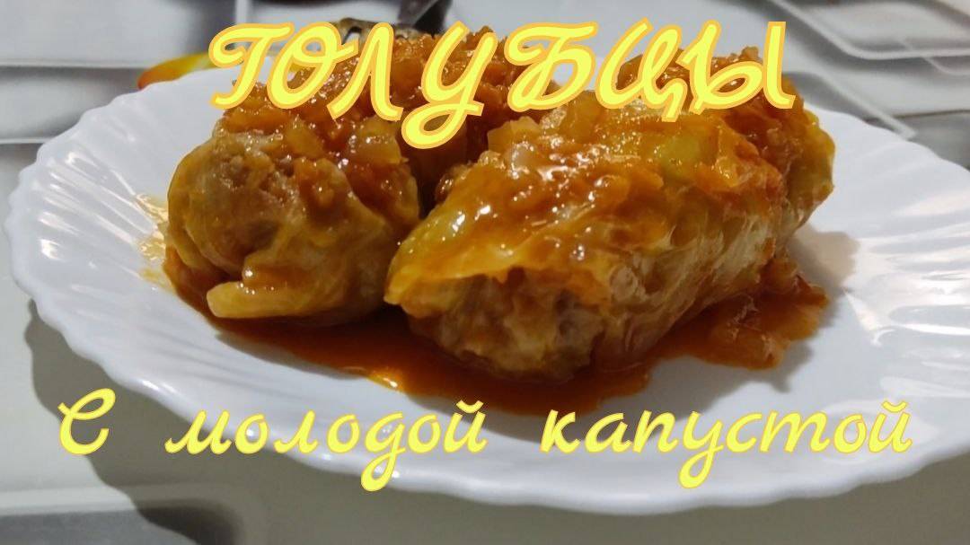 Вкусные сочные голубцы с молодой капустой