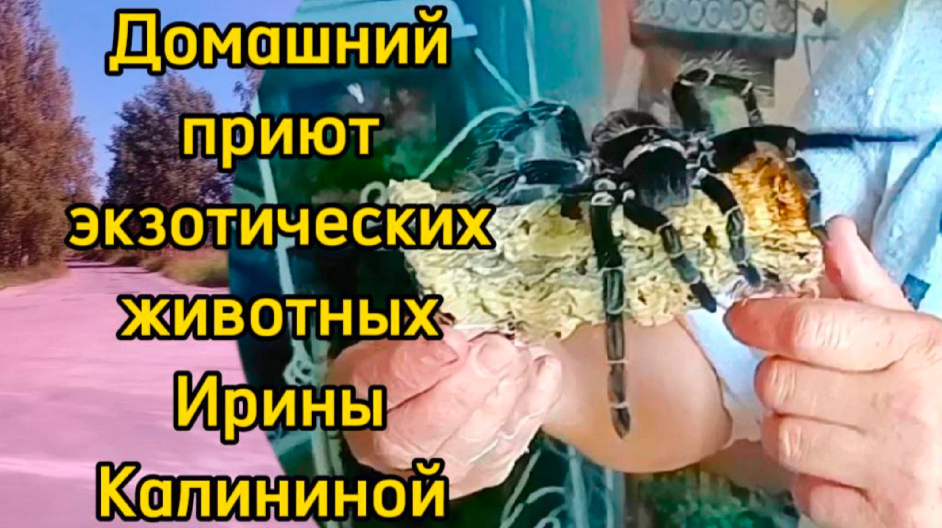 Домашний приют экзотических животных Ирины Калининой. Обзор