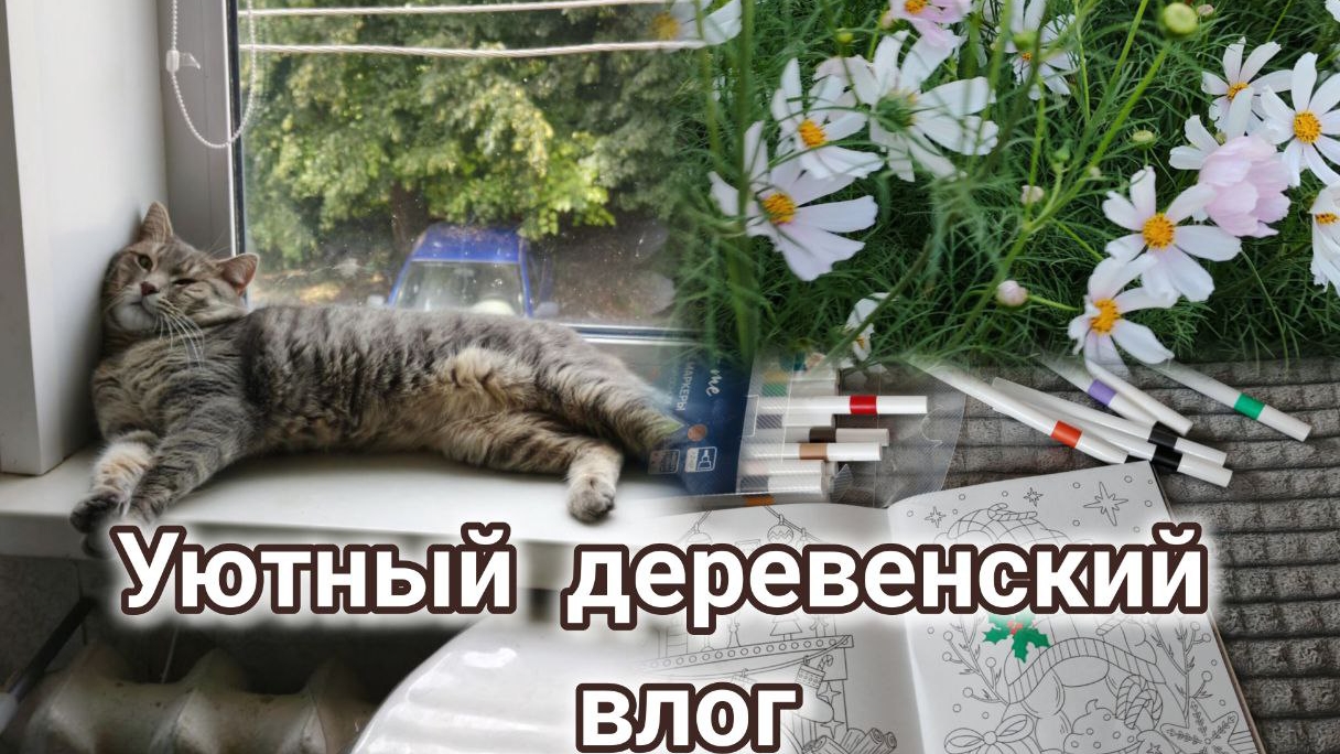 Счастливая и уютная жизнь в деревне, влог, покупки, летняя прогулка, новые маркеры и раскраска