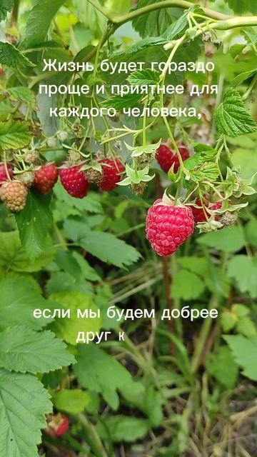 Как сделать жизнь проще и приятнее?