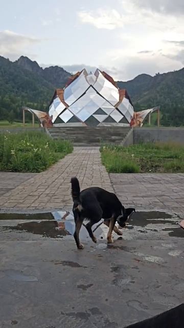 Горный Алтай. База-отель ANIMARA «Земли Силы». https://t.me/mir_glazami_idushego