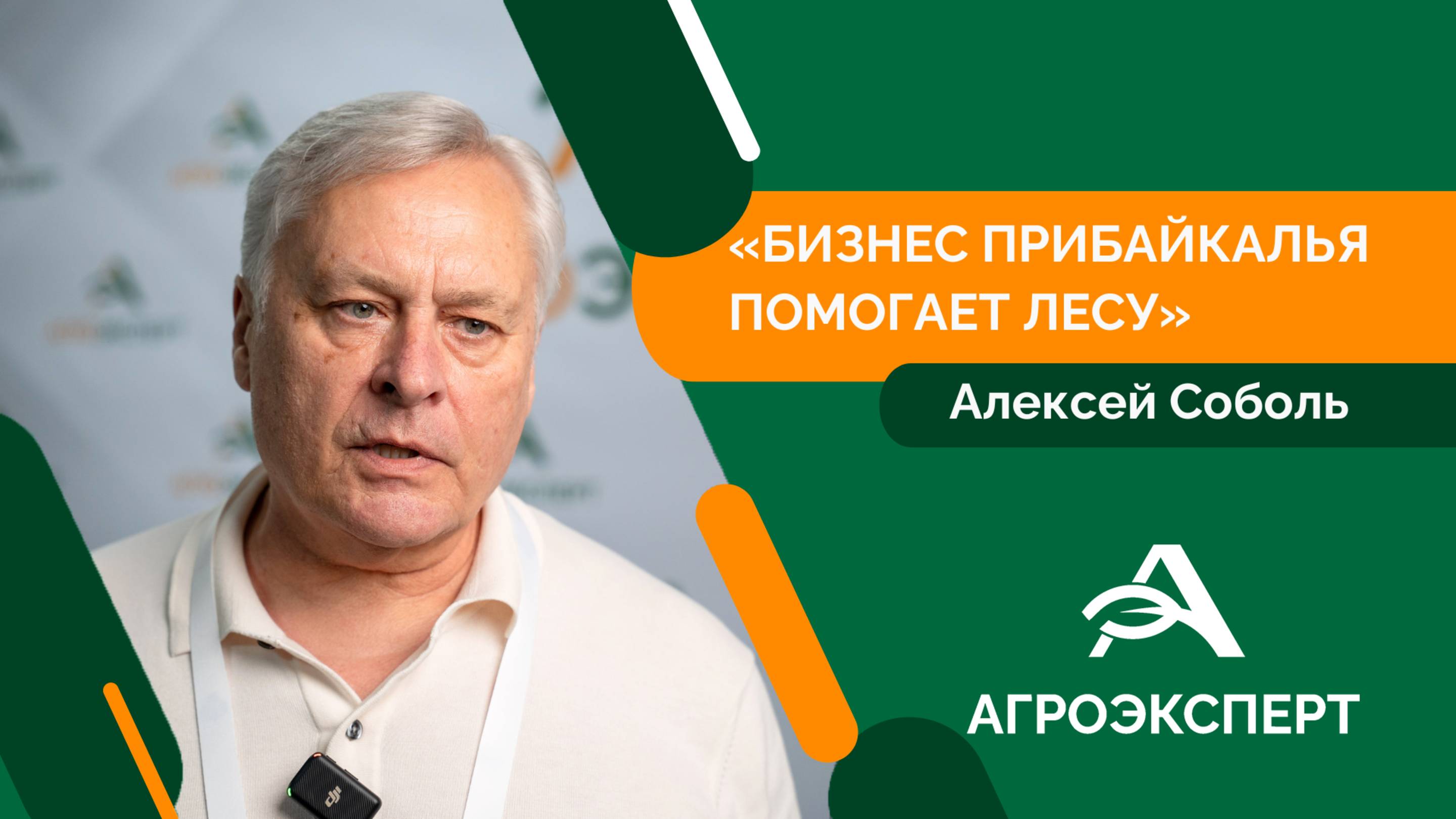Лес — часть экономики и объект заботы