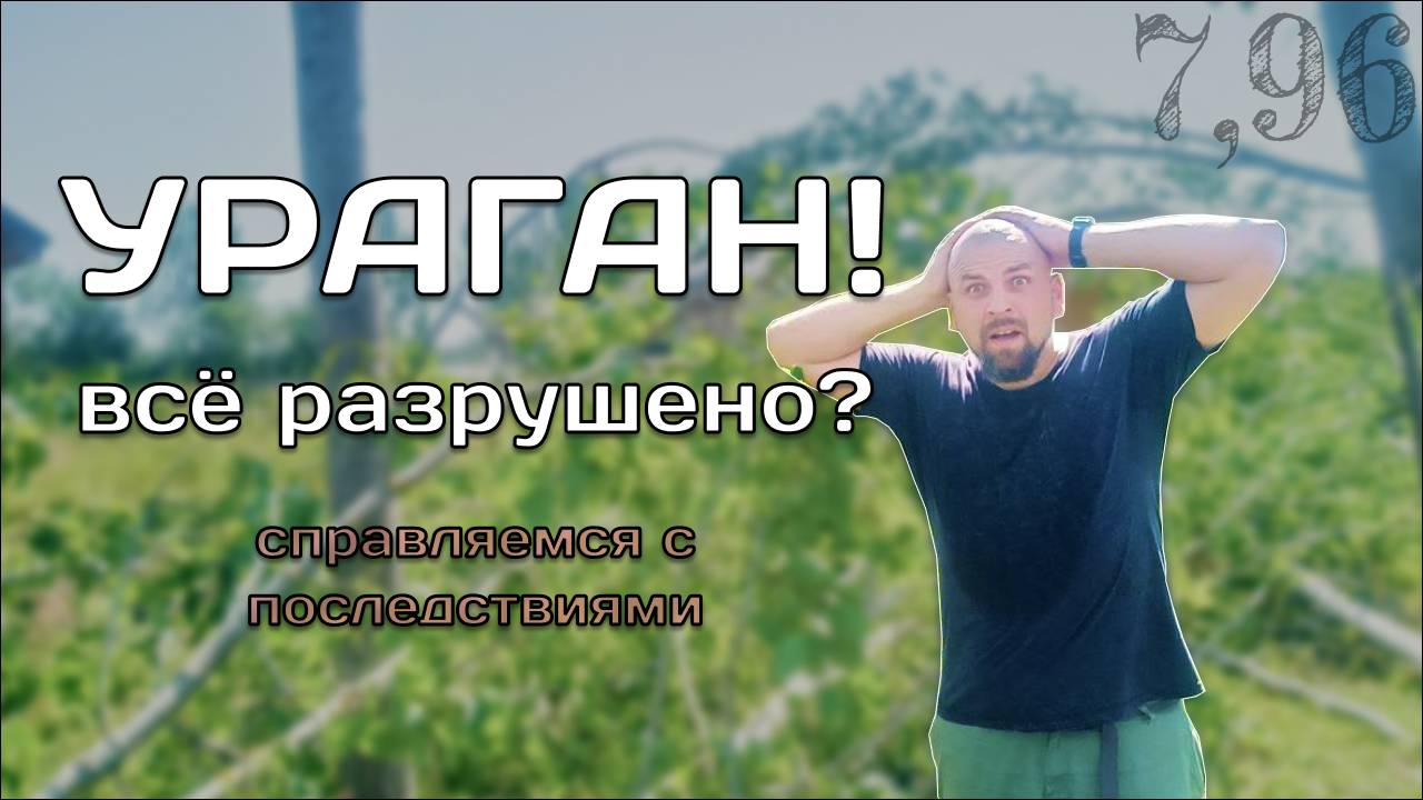 УРАГАН!!! Дом Разрушен? Разбираемся с Последствиями! Валим Деревья Сами