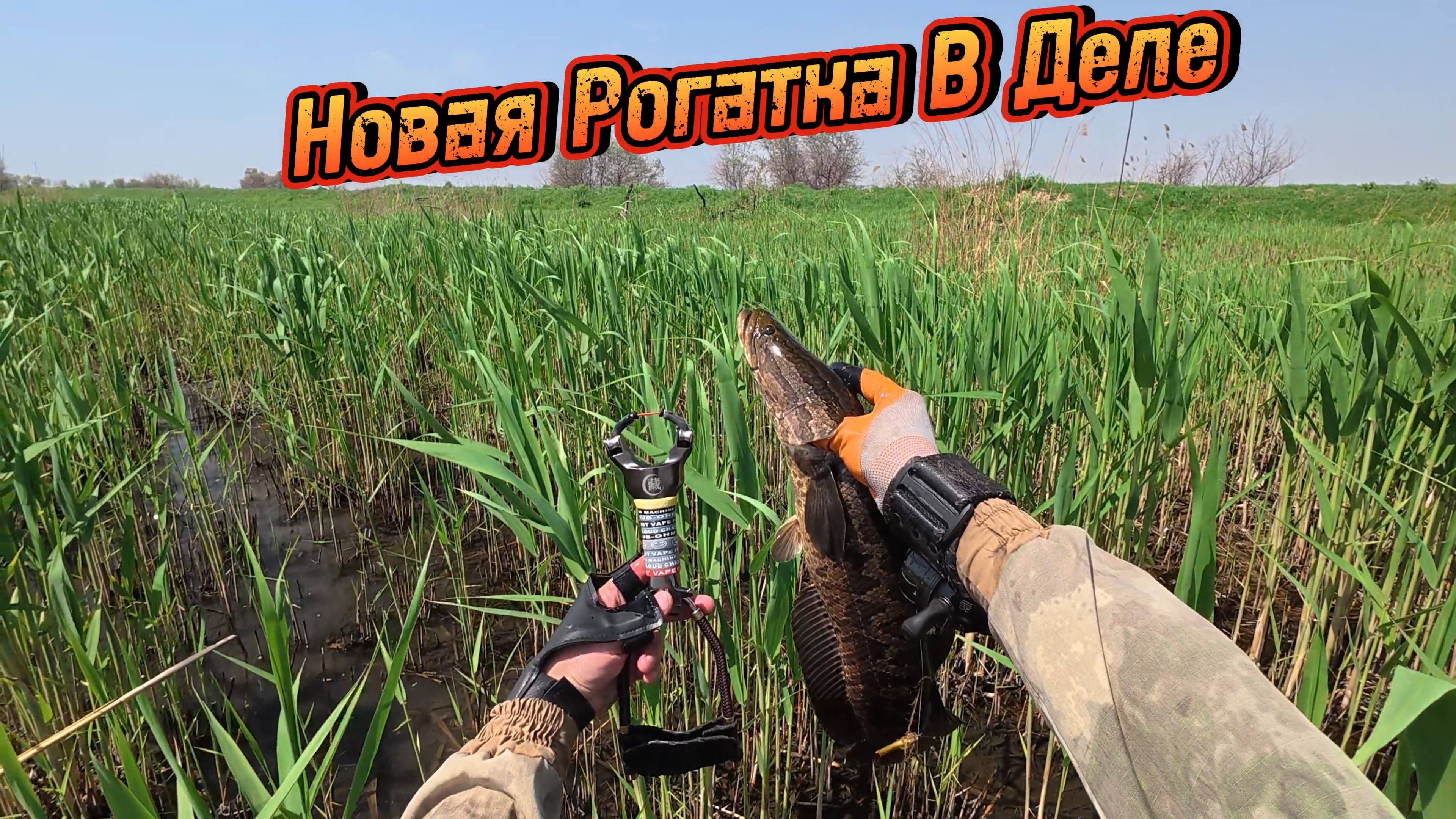 Новая Рогатка В Деле: Без Промахов, Без Шансов На Сход! #fishing#рекомендации#top#2025#fish#youtube