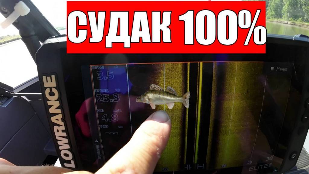 СУДАК В ЭХОЛОТЕ КАК ВЫГЛЯДЕТ ТОЧНО? ОТПУСТИЛ СУДАКА НА ДНО, ПРИВЯЗАЛ И СМОТРЕЛ В ЭХОЛОТ!