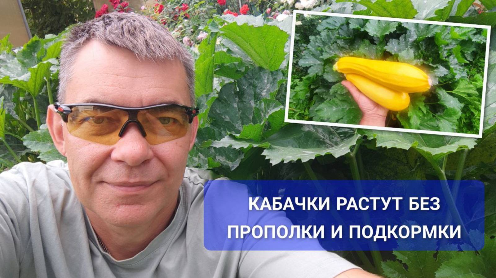 Ленивая грядка для кабачков 🌱 Полоть и подкармливать не нужно 👍 Как выращивать кабачки цукини 😉