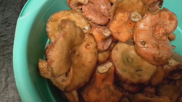 Грибы рыжики холодным способом.