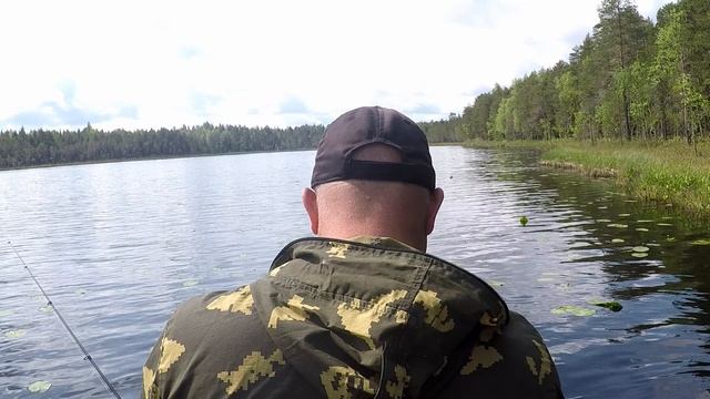 Рыбалка на озере Становом, день второй. 7.06.2025. Снимаем жерлицы, бросаем спиннинги. Отъезд.