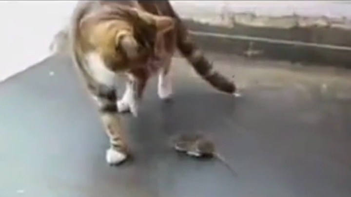 в России интересно жить